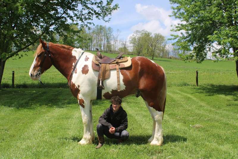 Kid Safe Spotted Draft