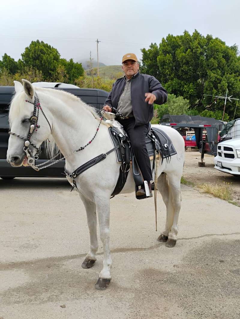 Trail Riding Andalusian Grey in Canyon Country, California