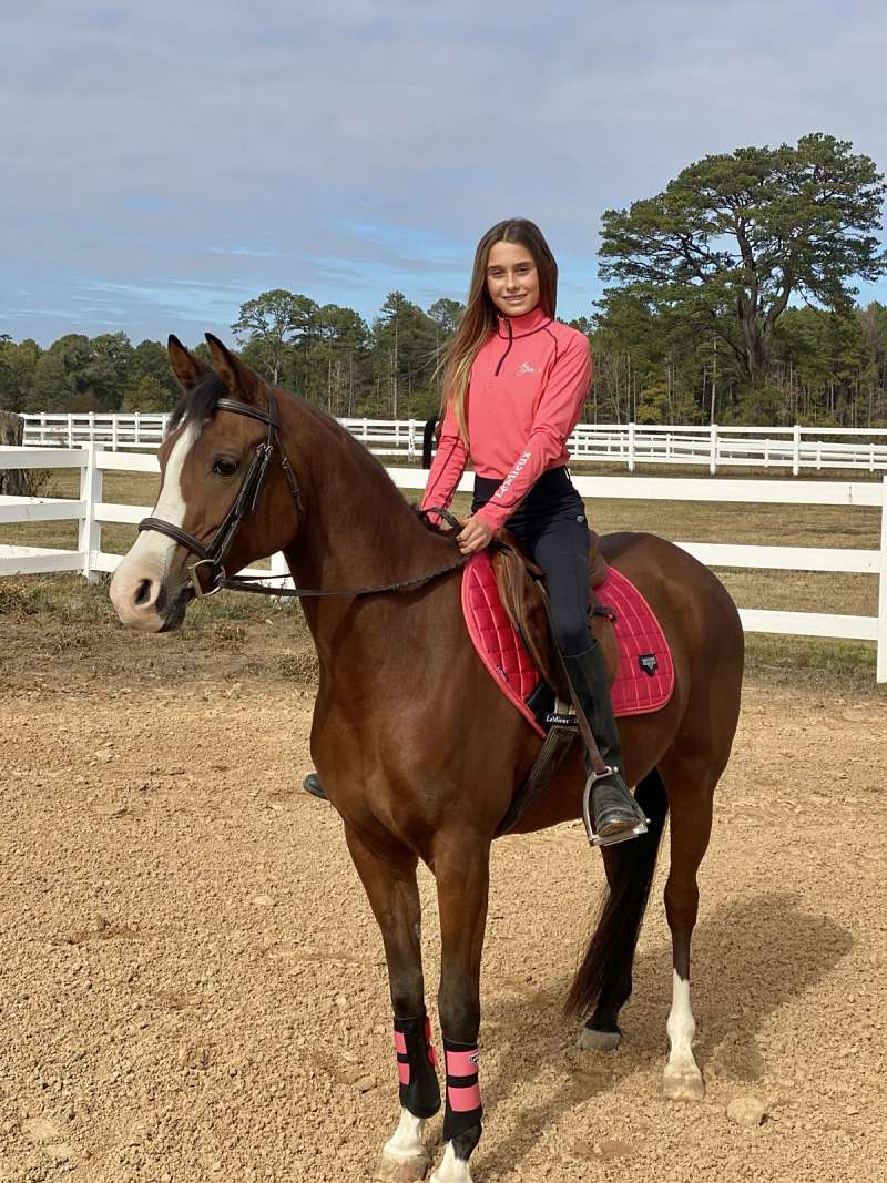 Hunter Jumper Pony - Available August 2025