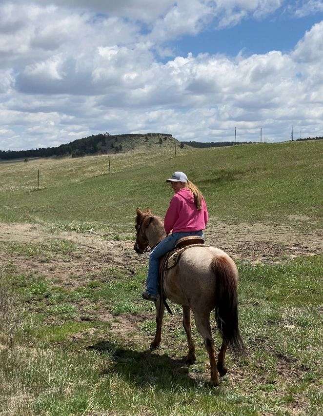 Super Solid Gelding - Ranch/Rope/Cows/Trail