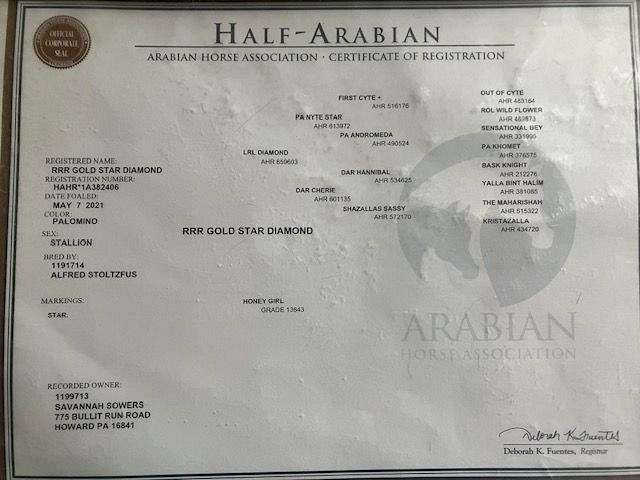 Rrr Gold Star Diamond