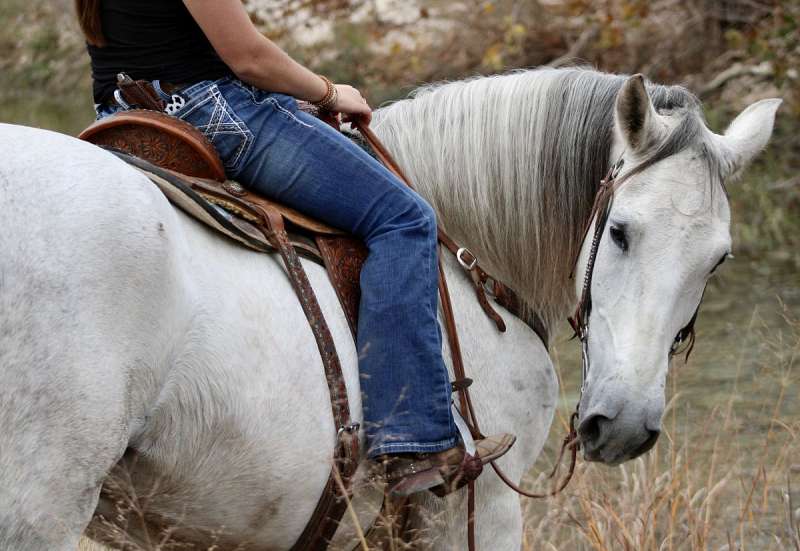Full 18 Min Video - 17 Hand 10 Year Old Western/English Azteca Gelding