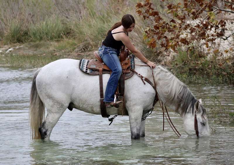 Full 18 Min Video - 17 Hand 10 Year Old Western/English Azteca Gelding
