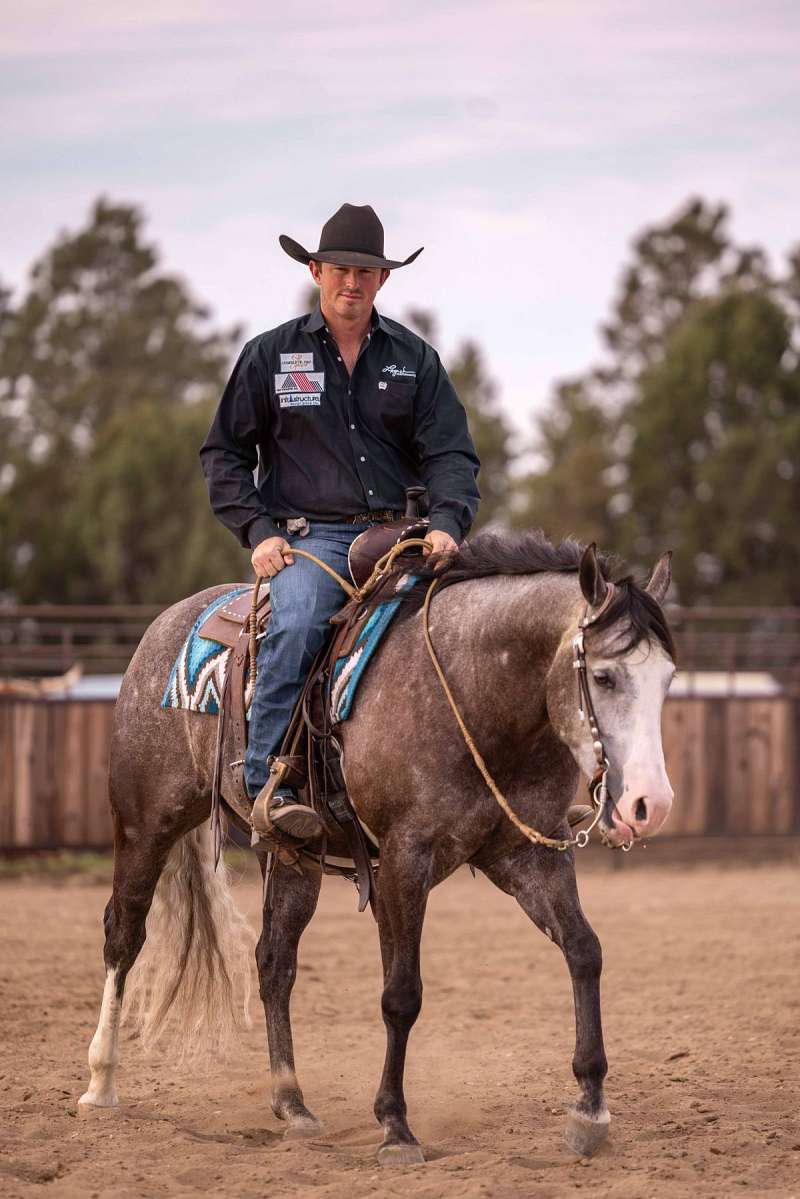 Rico - Stunning Ranch and Trail Horse Deluxe 6 yo Grey AQHA Gelding!