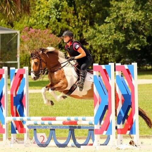 Dinnafash--Gypsy Cross Skewbald Paint Mare (2020)