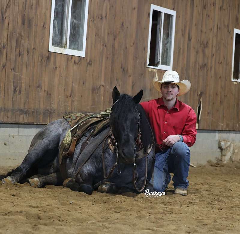 This 2020 AQHA Blue Roan Gelding 15.1 Hands and is the Complete Package