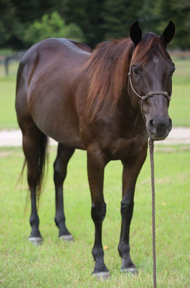 Runaway Grand Slam “River”