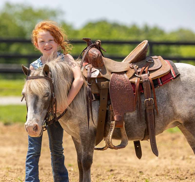 Blue Belle - Safe, Gentle, Beginner Pony