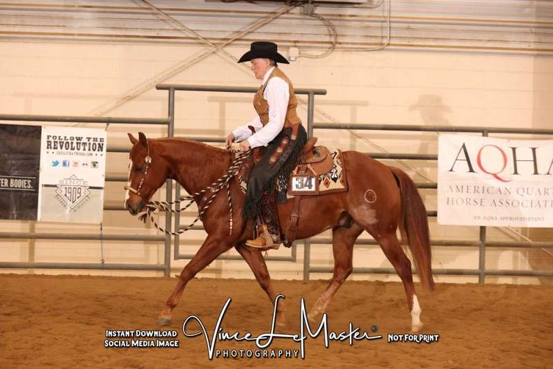Patches - Wonderful All-Around Ranch Horse 5 yo Sorrel AQHA/APHA Gelding!