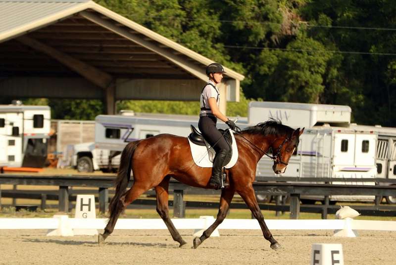 Man From Nazareth--16.1h, 2021 TB Gelding, Trained, Never Raced