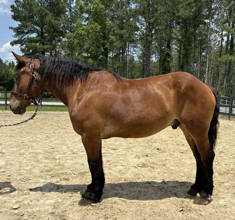 Bombproof Draft Cross