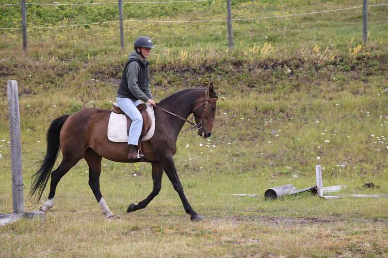 Daughter of Lestat(Old.)