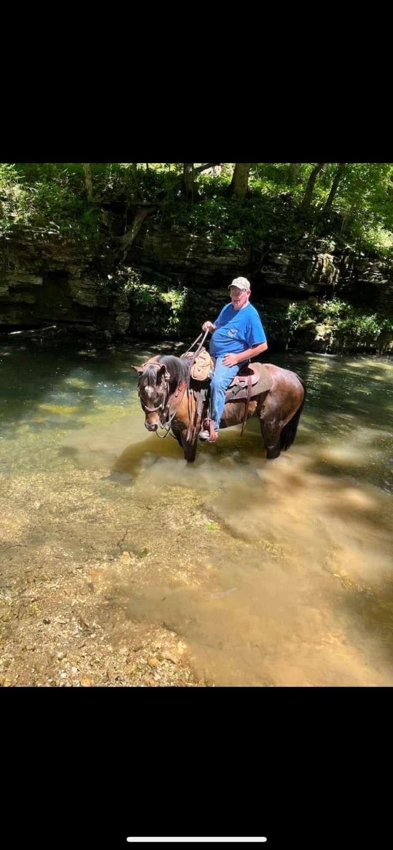 10 Y/O 16h Appendix Gelding