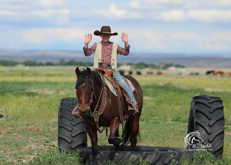 Lilly - Fantastic Ranch & Reining Horse 9 Yr Old Bay AQHA Mare!