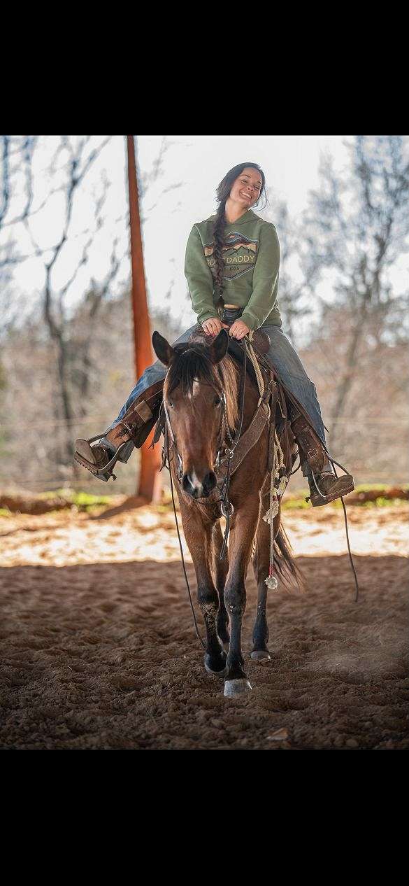 Great Ranch and Family Horse 4 Yr Old Bay AQHA Mare!