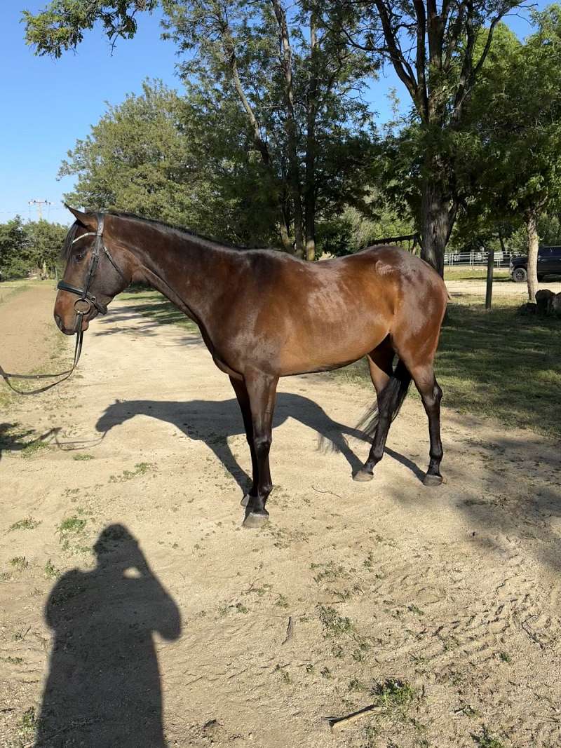 2021 Y Knot Tapit “Kamikaze