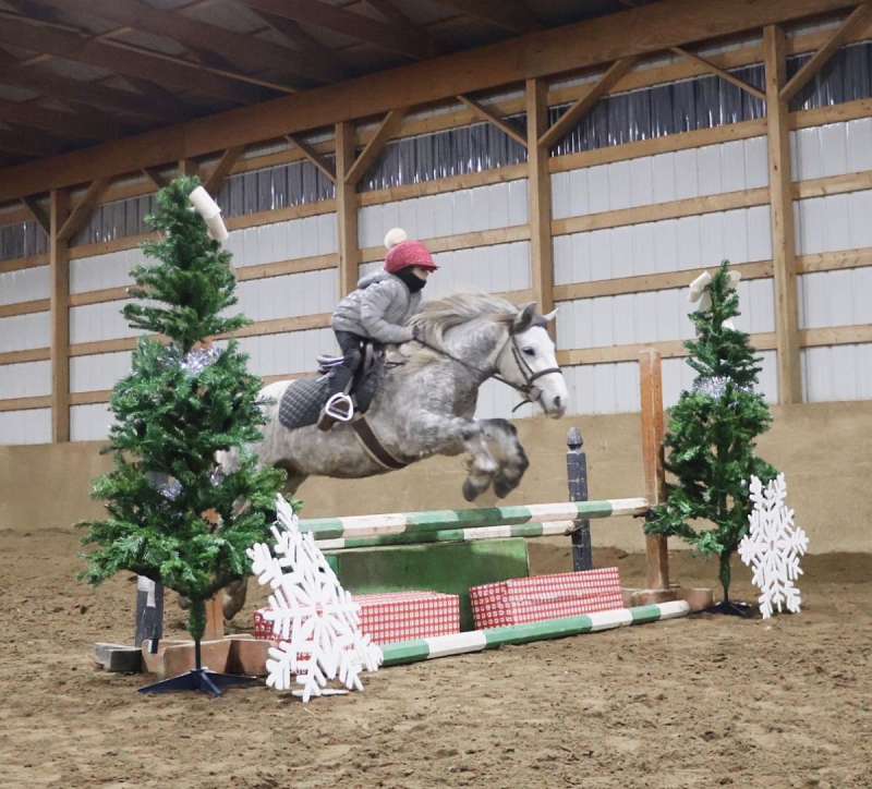 Appendix Mare With Chrome