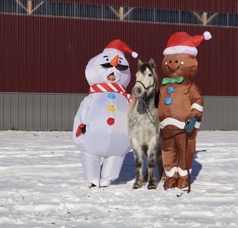 Appendix Mare With Chrome