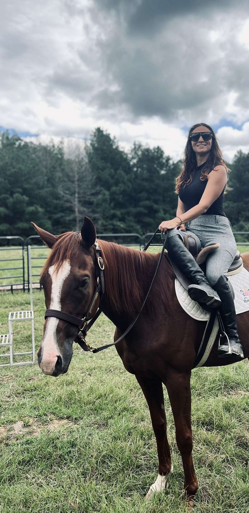 Fun Ammy Friendly OTTB