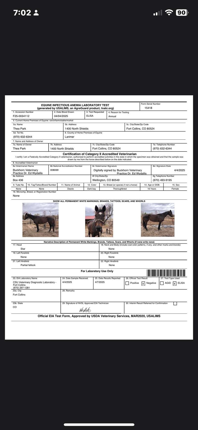 Very Versatile Jockey Club Registered Black 2009 OTTB Mare!