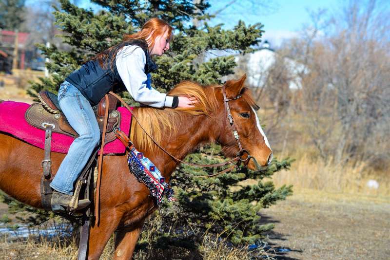 Gorgeous Versatile Kid Safe 6 Yr Old Sorrel Mustang Mare!