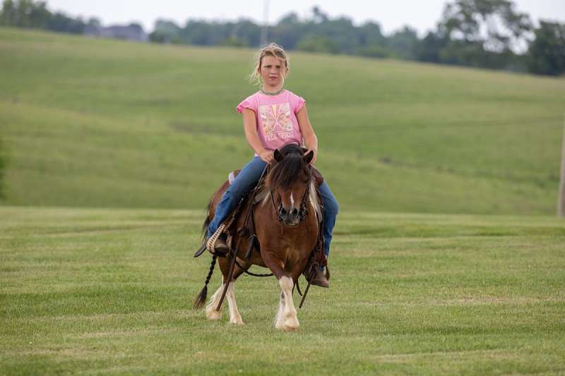 Chubbs- the Ultimate Chunky Pony Dream