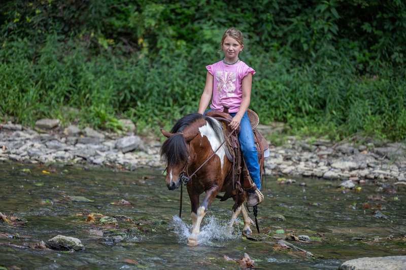 Chubbs- the Ultimate Chunky Pony Dream