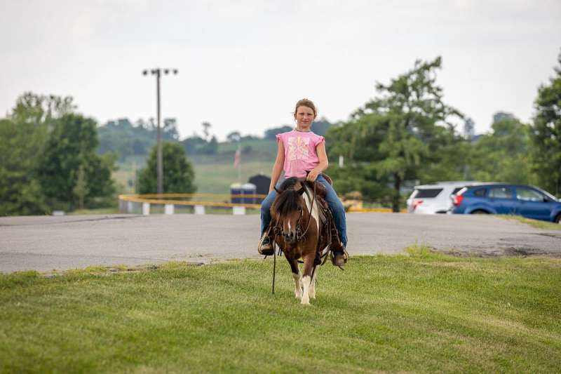 Chubbs- the Ultimate Chunky Pony Dream