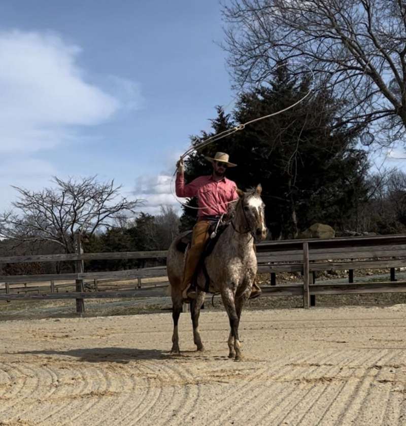 Sheldak Ranch Hall of Fame Bred 2014 APHC Mare