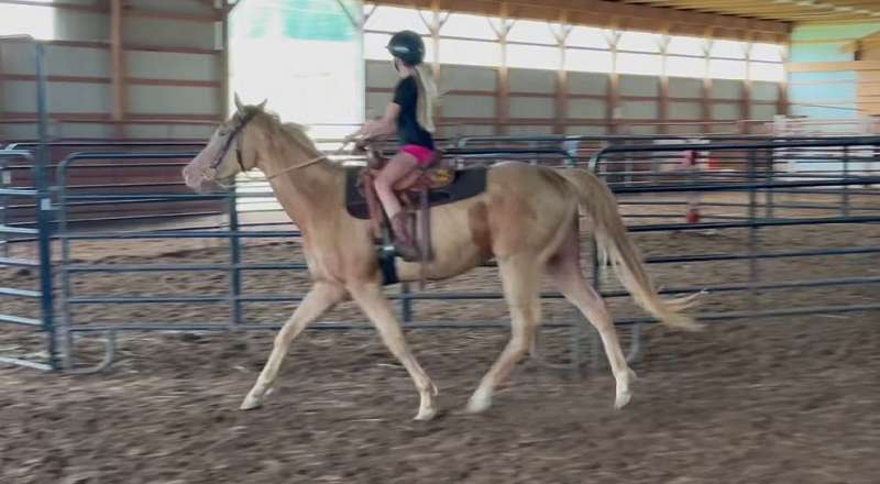 Big, Pretty and Correct