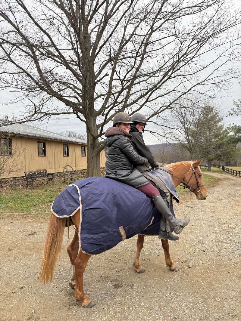 Fancy Pony Mare for Sale