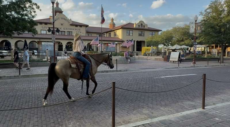 Smurf - Trustworthy Ranch & Trail Horse 8 Yr Old Buckskin AQHA Gelding!