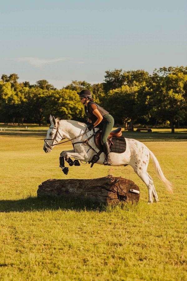 Ranch - Versatile & Well Rounded 8 Yr Old Appaloosa John Mule!