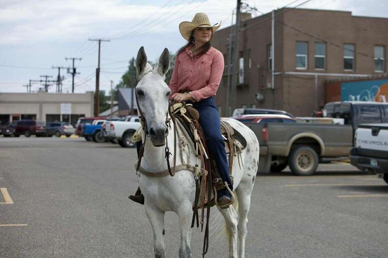 Ranch - Versatile & Well Rounded 8 Yr Old Appaloosa John Mule!