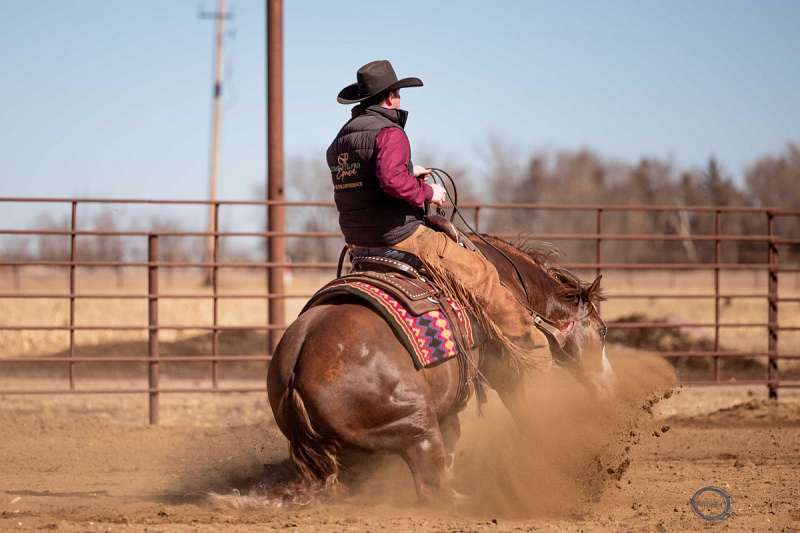 Jigsaw - Jaw Dropping Stunning 6 Yr Old Sorrel AQHA APHA Gelding.