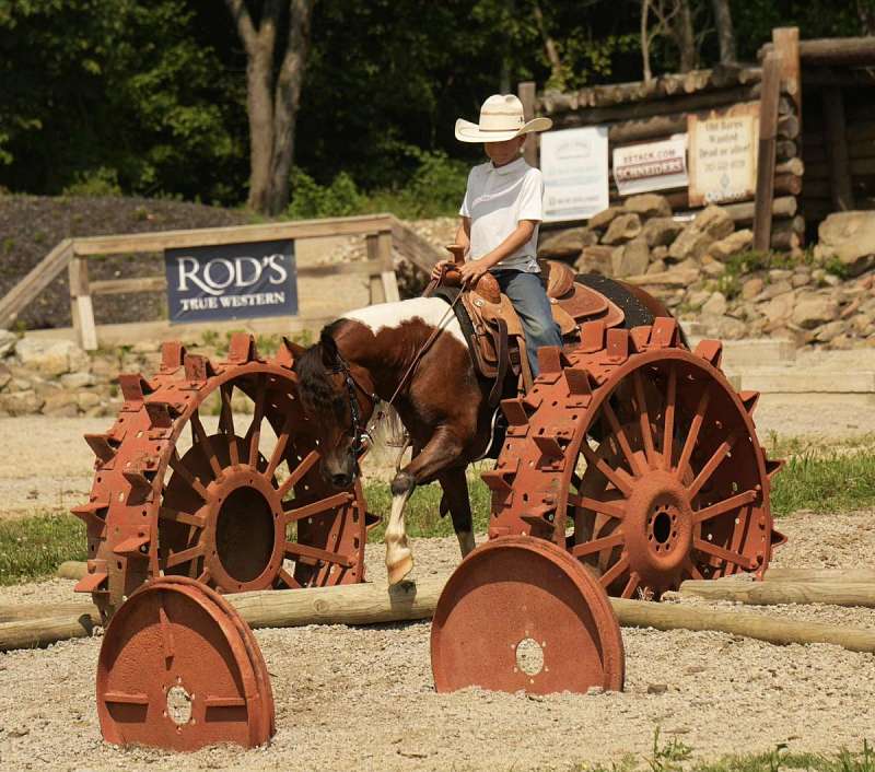Waylon - Amazing Ranch/Rodeo Pony 10 Yr Old Paint Pony Gelding!