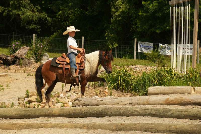 Waylon - Amazing Ranch/Rodeo Pony 10 Yr Old Paint Pony Gelding!