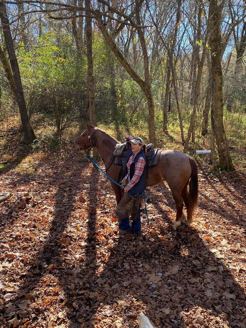 Red Roan Titled Mustang Mare