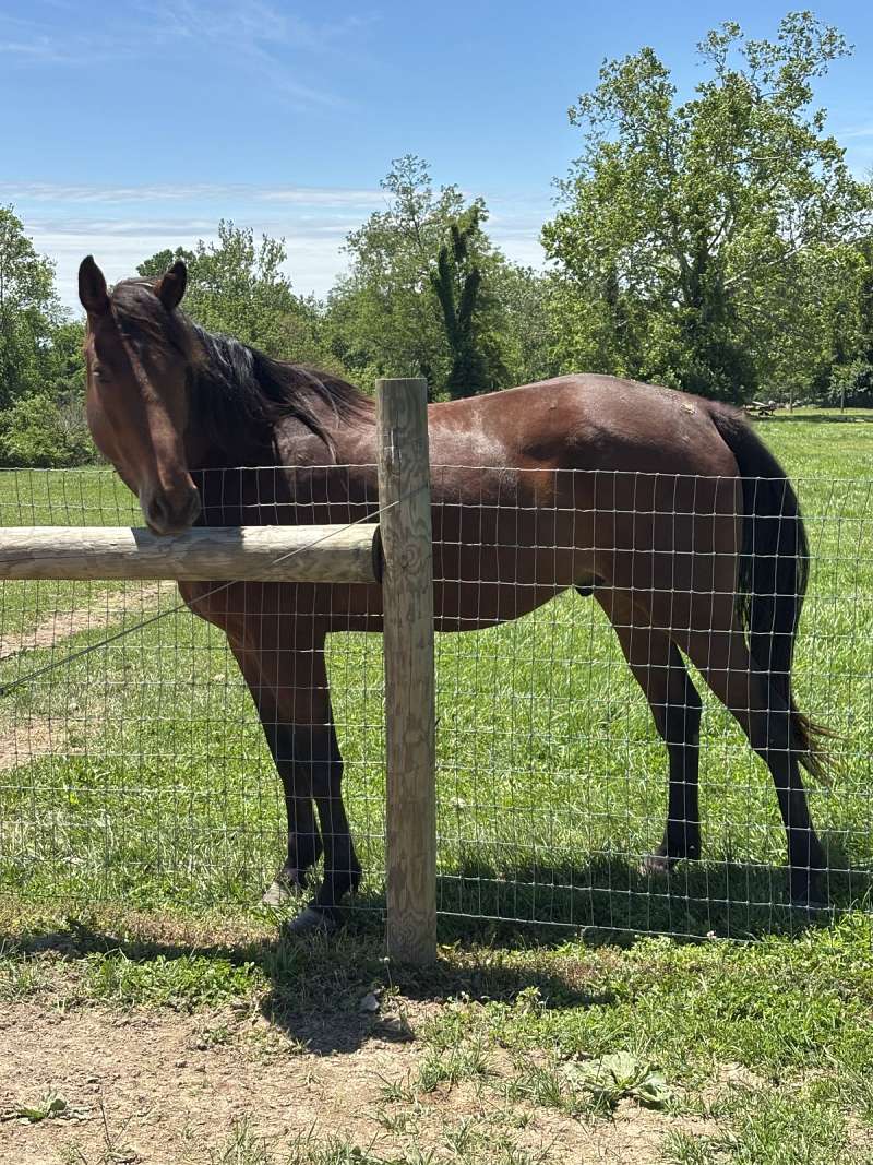 Tall, Dark, and Handsome