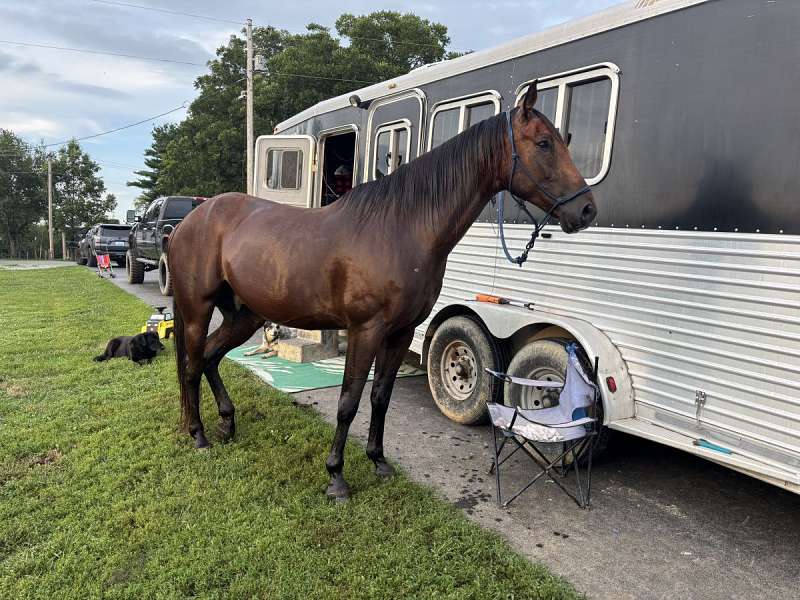 Tall, Dark, and Handsome