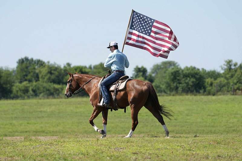 Gorgeous Family Trail Horse 12 Yr Old Sorrel Quarter Horse Mare!