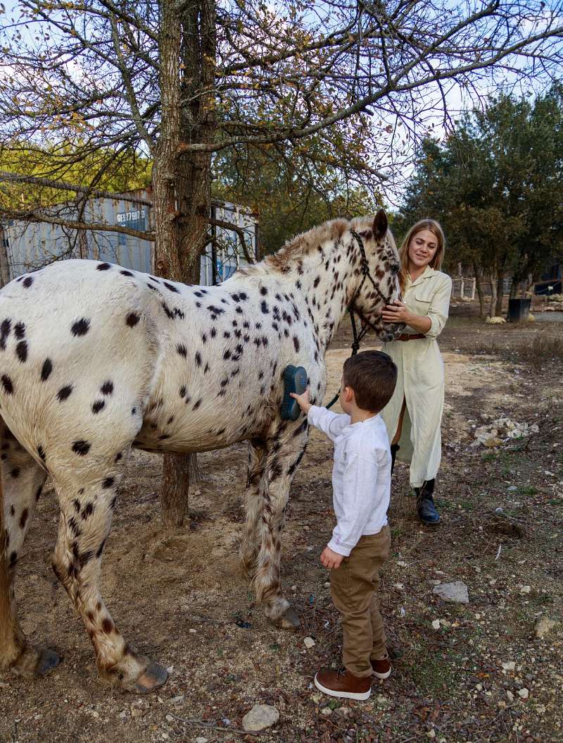 Nimbus- 4yo Bay Leopard Appaloosa