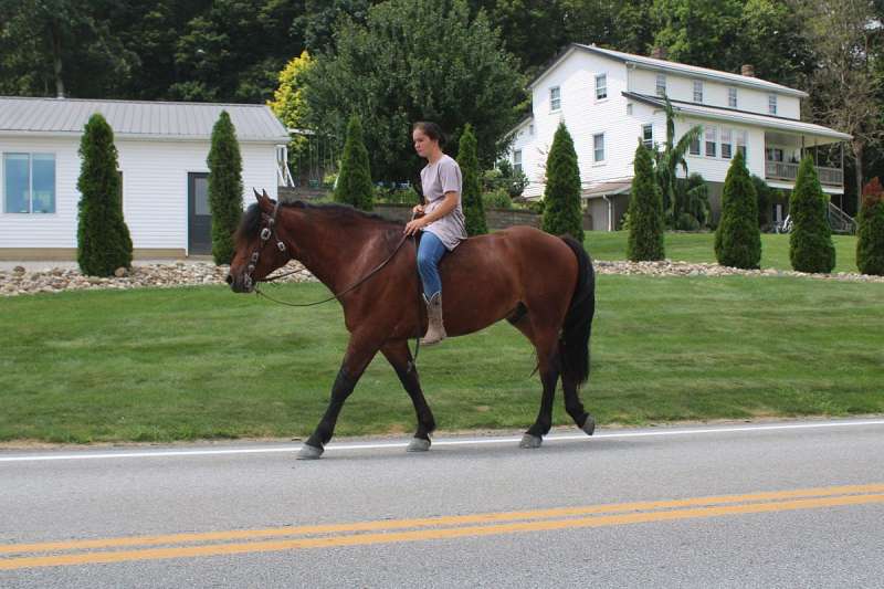 Bombproof Draft Cross