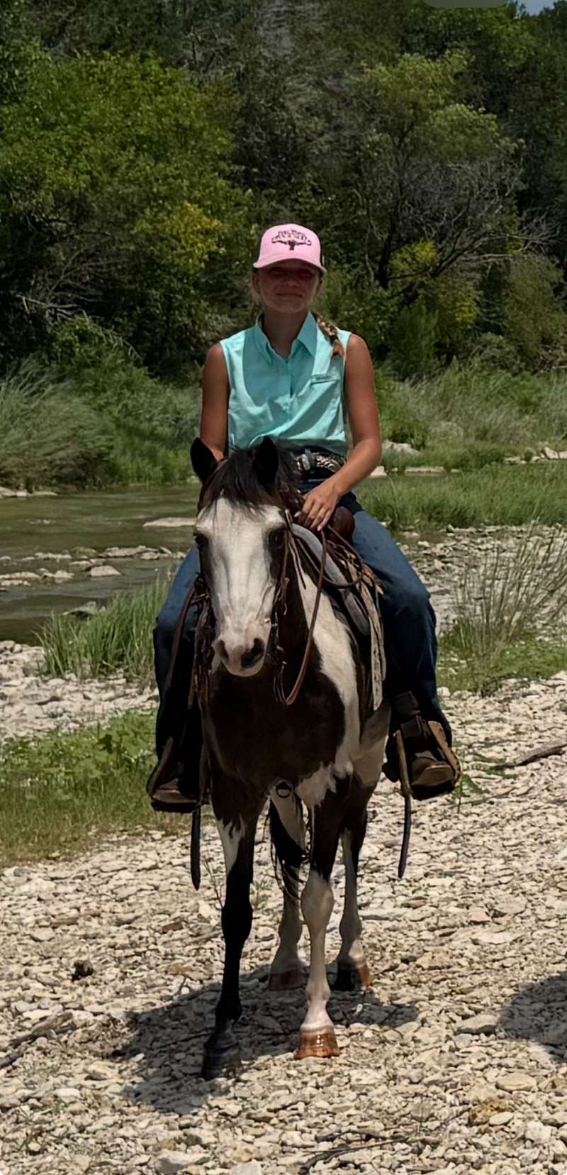Finding Nemo - Kid Tested & Mother Approved 10 yo Bay Overo Pony Gelding!