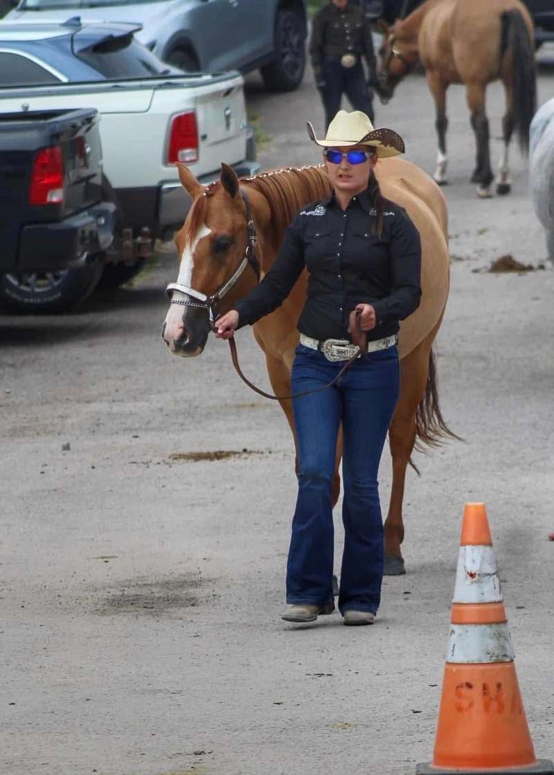 AQHA Mare Trained in English, Western, Ranch and Started On Barrels