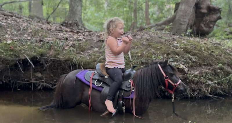 Safe Safe Safe Pony Mare