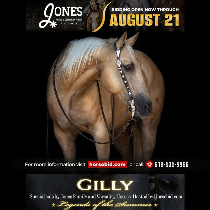 Gilly - Super Handsome Ranch & Roping Horse 11 yo Palomino AQHA Gelding!