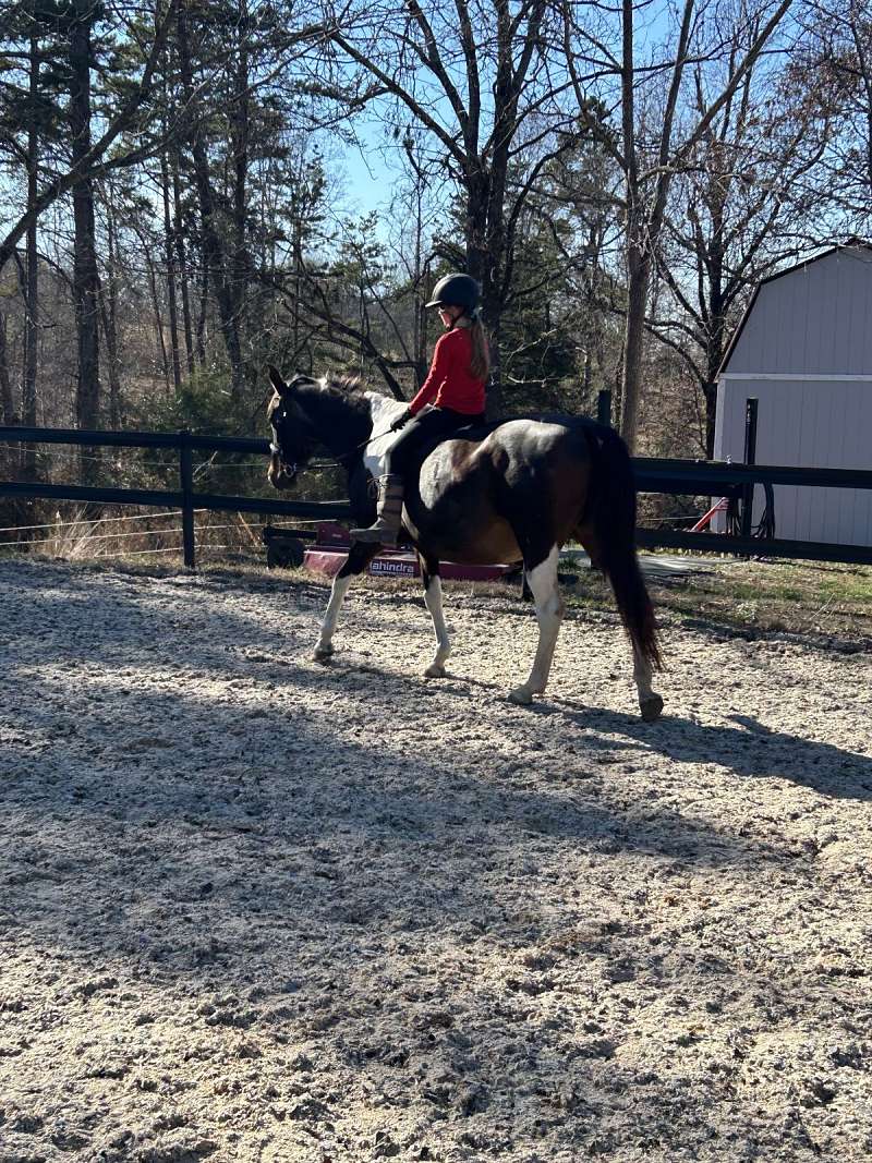 Trail Horse, Husband Horse Deluxe