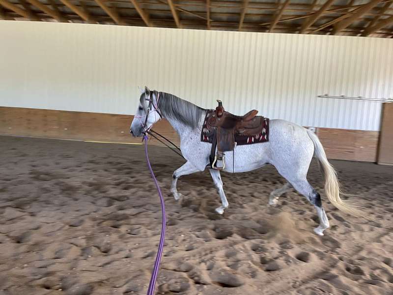 Pretty Grey Project!