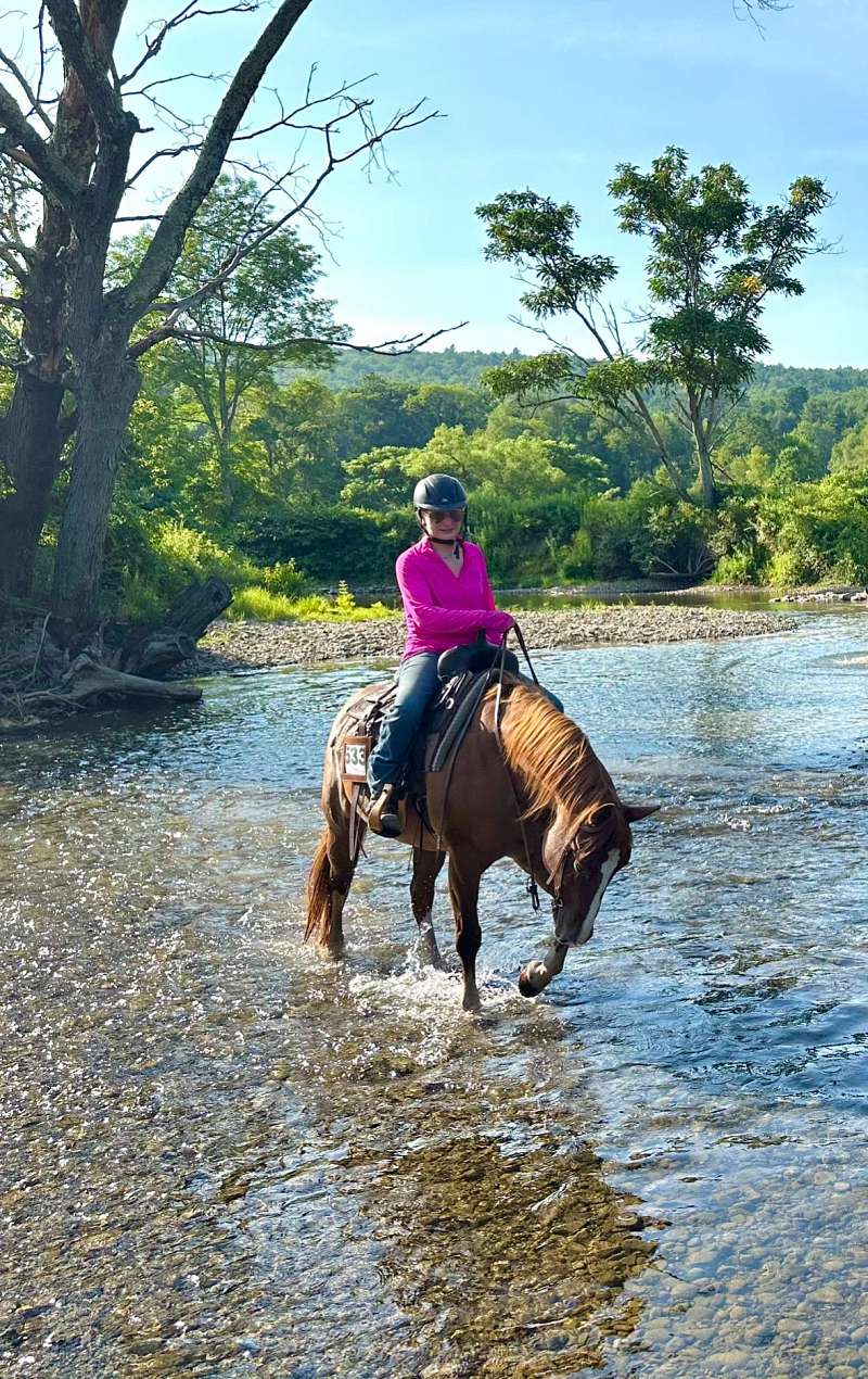 Western, Ranch, English, Trails